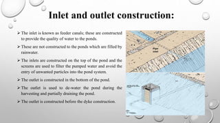 Pond Design And Construction System In An Aqua Farm. | PPTX