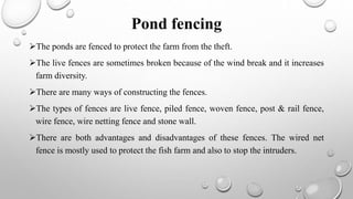 Pond Design And Construction System In An Aqua Farm. | PPTX