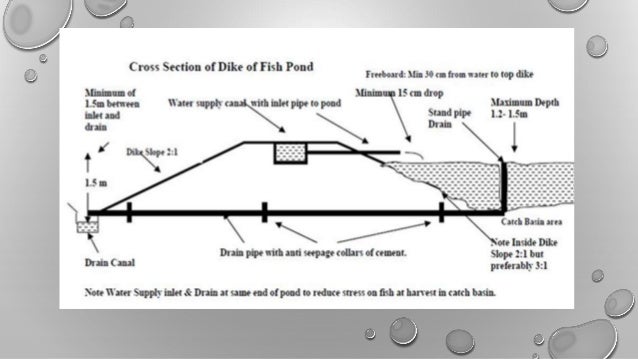 Pond Design And Construction System In An Aqua Farm.