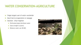 Water and Irrigation BZU, Bahadur Campus Layyah (T Rao) | PPTX