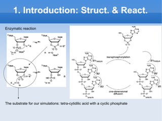 HPRnase | PPT | Chemistry | Science