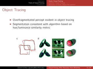 Visual Parsing after Recovery from Blindness | PPT
