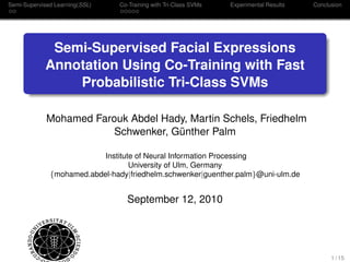 Semi-supervised Facial Expressions Annotation Using Co-Training with Fast Probabilistic Tri ...