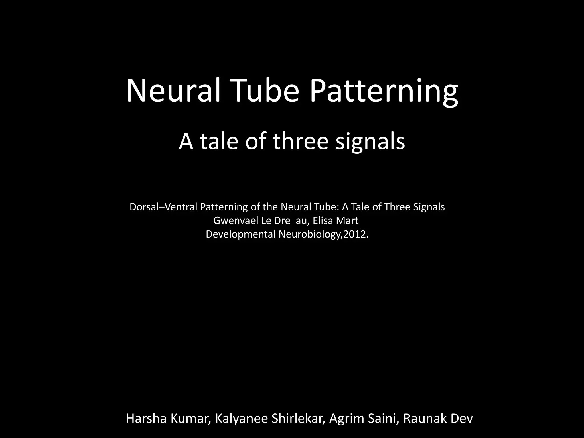 Dorso-Ventral Patterning of the brain - Neural tube patterning | PPT