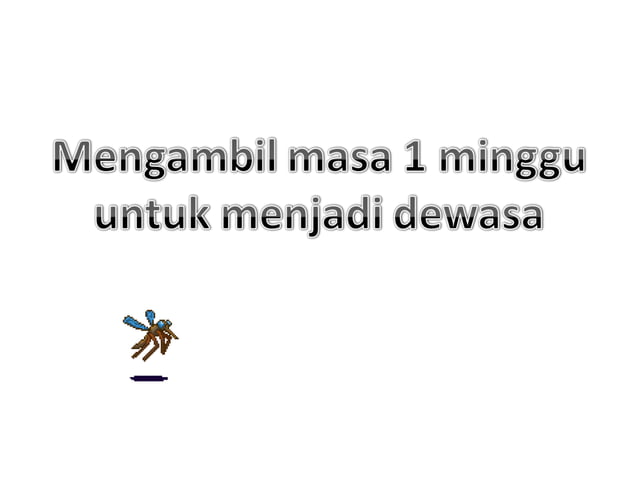 Ceramah Pencegahan Demam Denggi | PPT