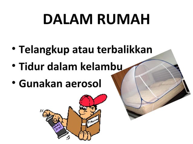 Ceramah Pencegahan Demam Denggi | PPT