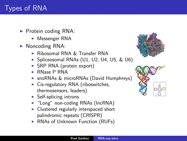 Introduction to RNA-seq | PDF