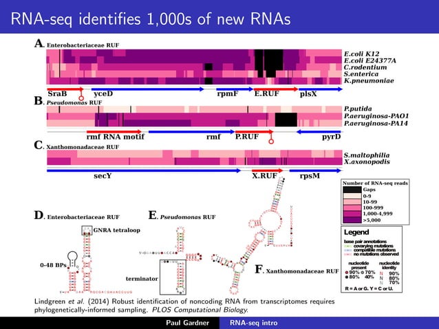Introduction to RNA-seq | PDF
