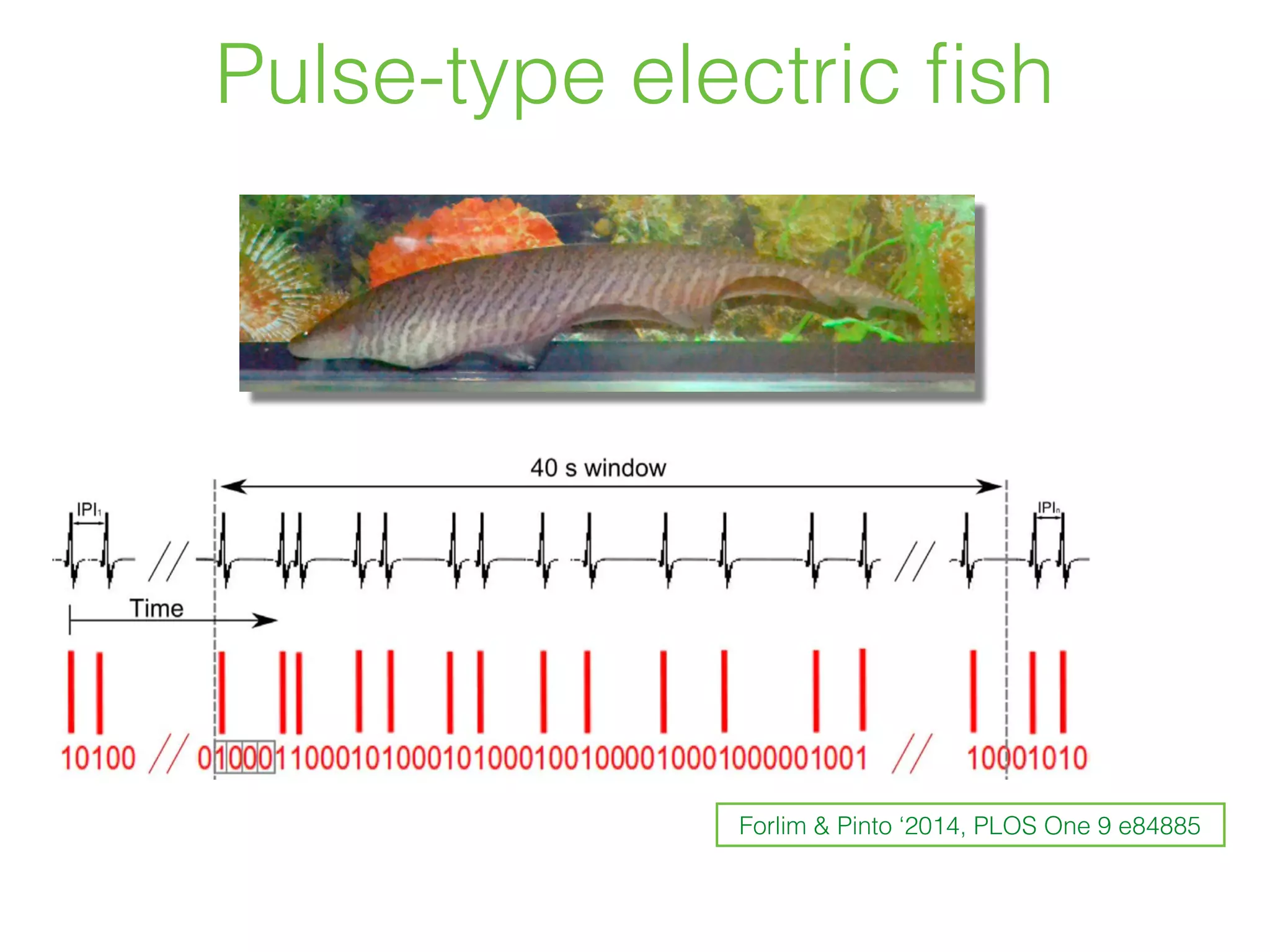 Non-parametric Change Point Detection for Spike Trains | PPT