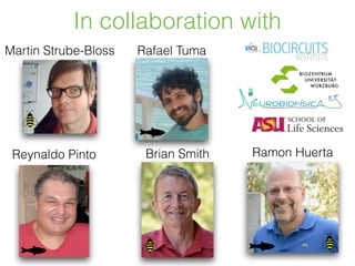 Non-parametric Change Point Detection for Spike Trains | PPT