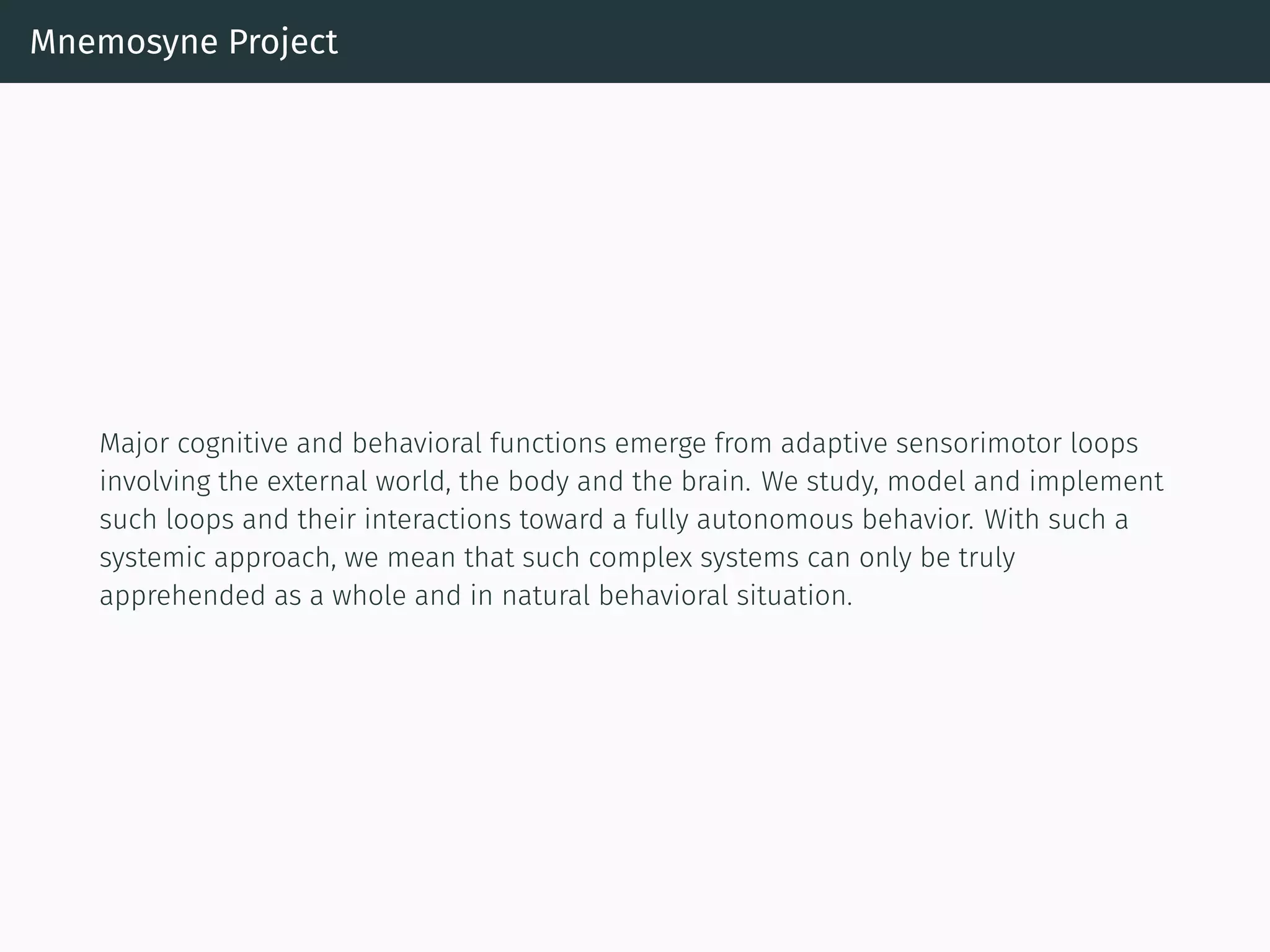 Neural fields, a cognitive approach | PPT