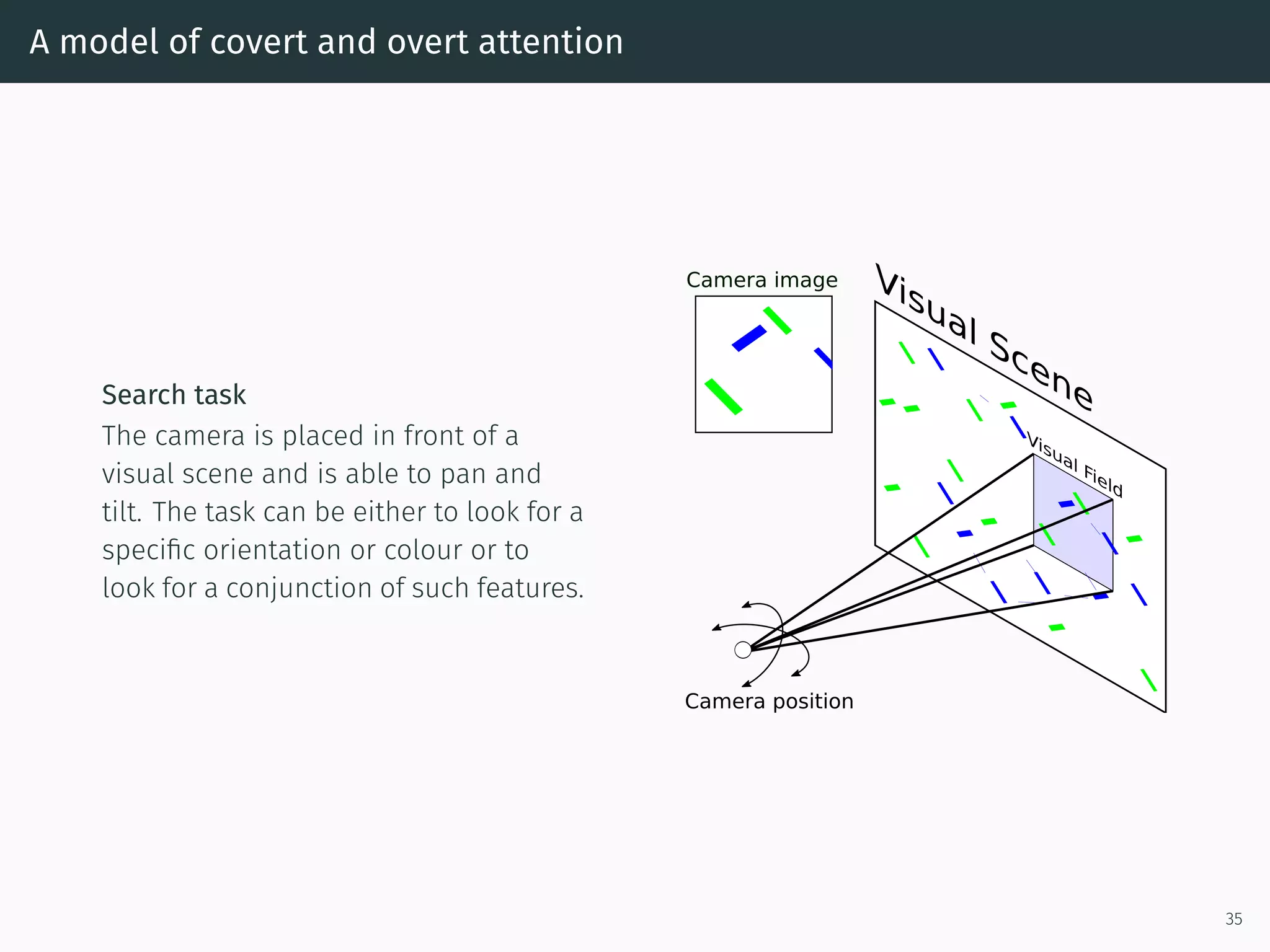 Neural fields, a cognitive approach | PPT