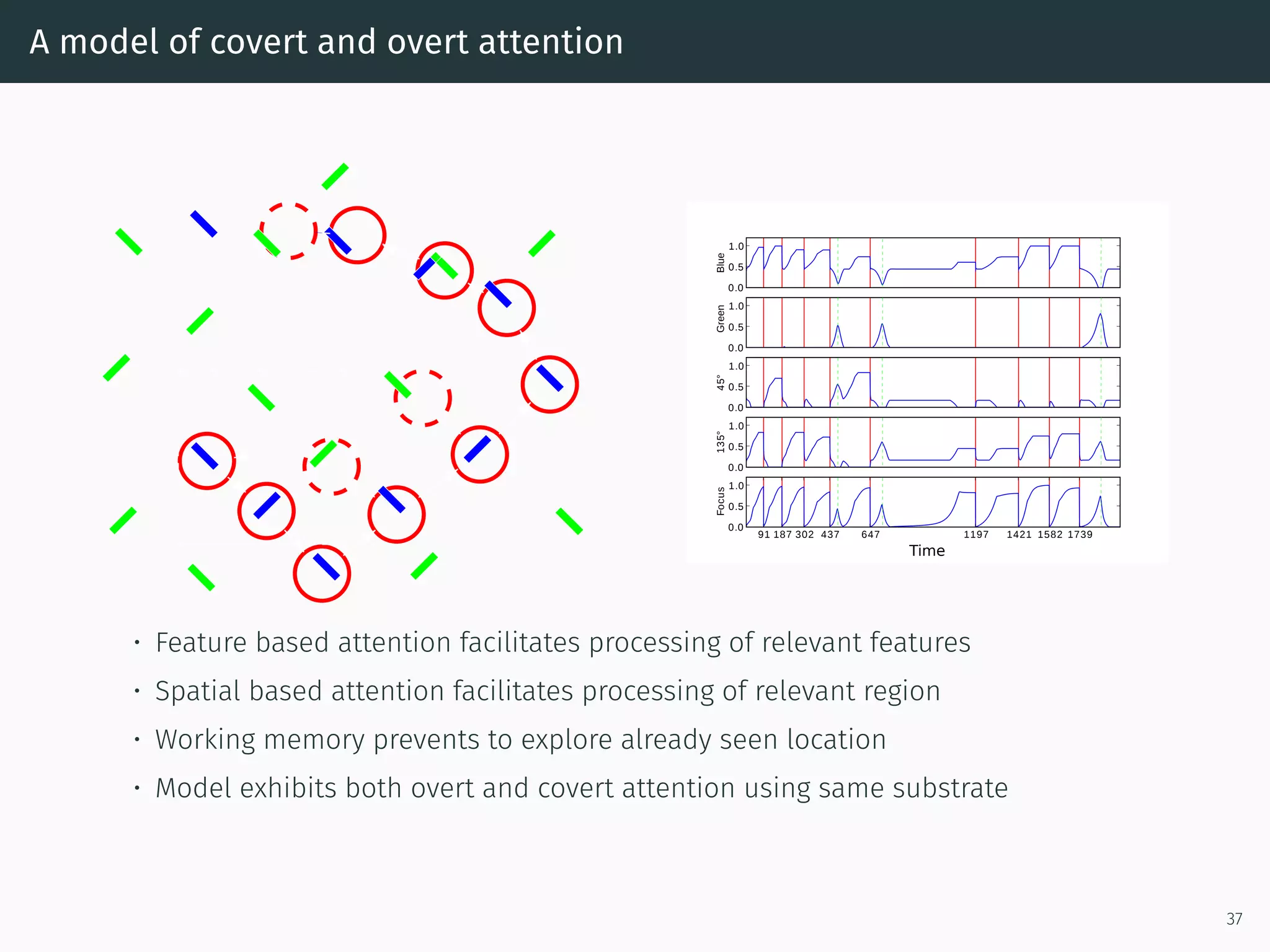 Neural fields, a cognitive approach | PPT