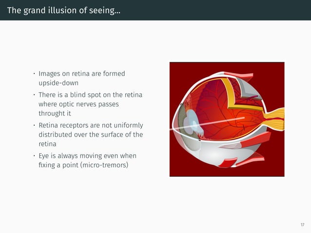Neural fields, a cognitive approach | PPT