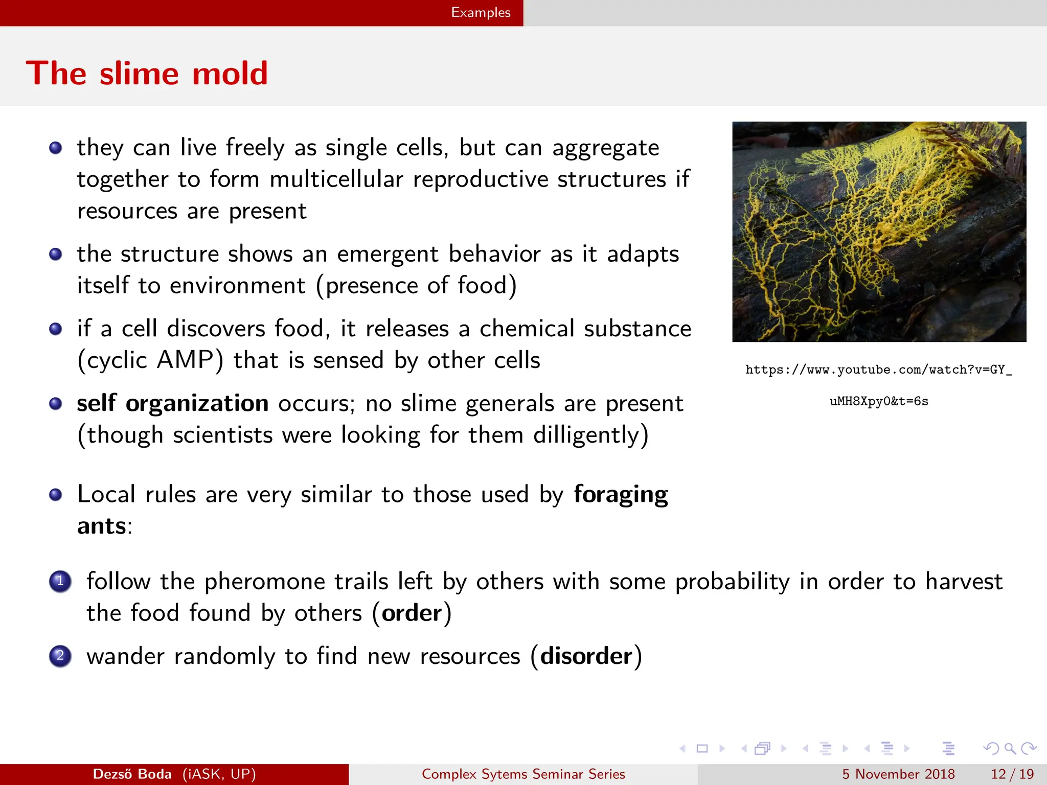 Introduction: Vocabulary of Complex Systems Sciences | PDF
