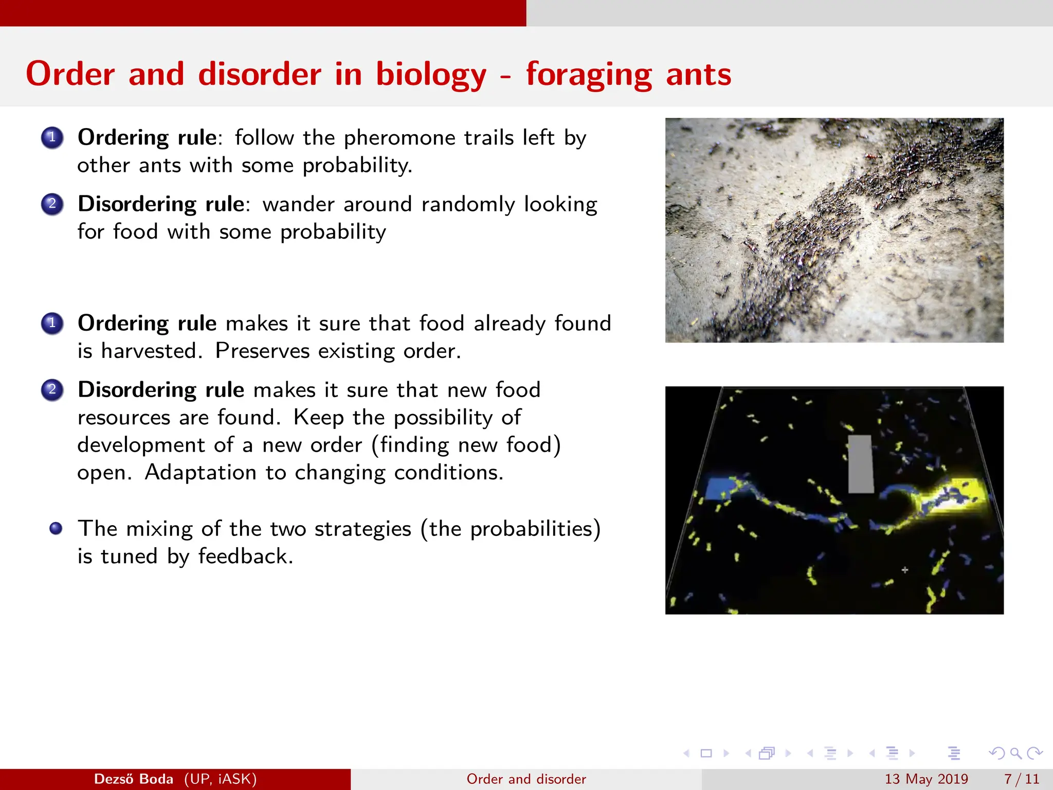 Order and disorder in physical, biological, and social systems | PDF
