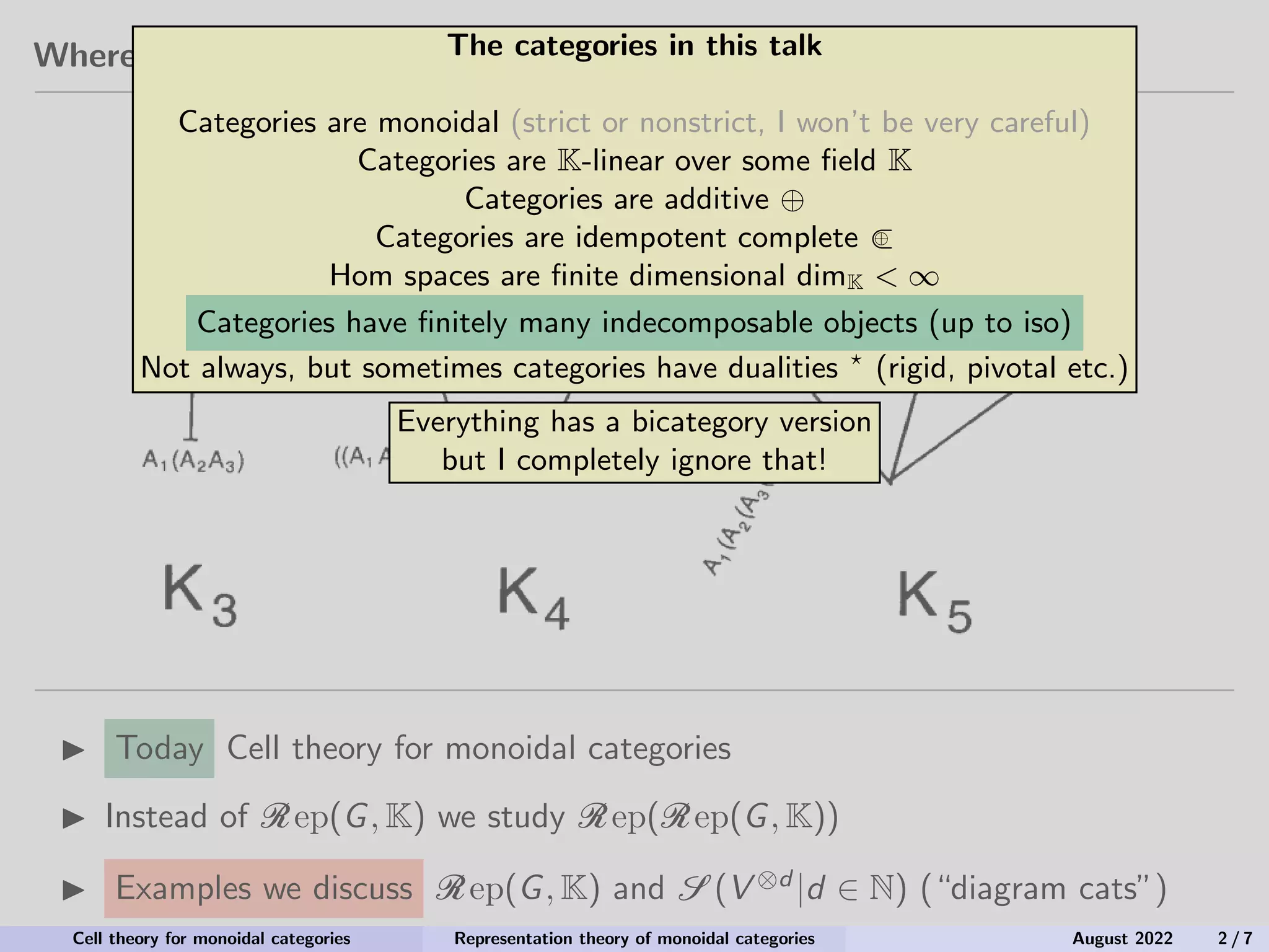 Representation theory of monoidal categories | PDF