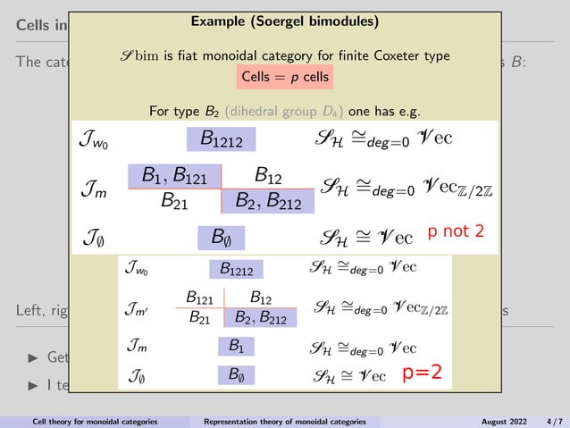 Representation theory of monoidal categories | PDF | Physics | Science