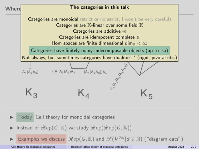Representation theory of monoidal categories | PDF | Physics | Science