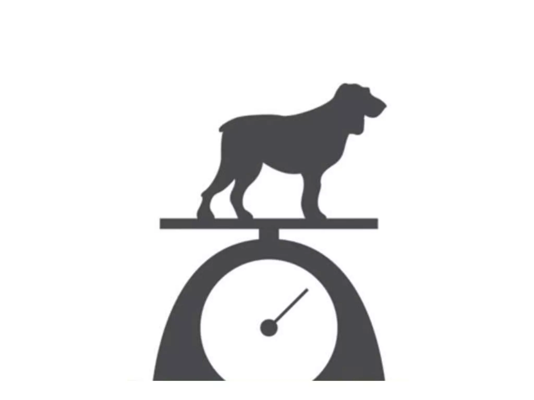 Think Machine Learning With Scikit Learn Python Ppt