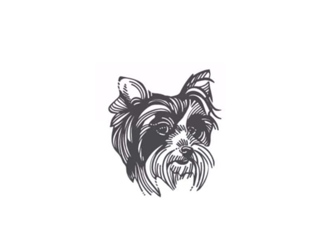 Think Machine Learning with Scikit-Learn (Python) | PPT | Free Download