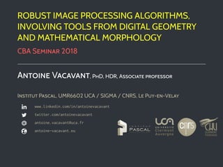 Robust image processing algorithms, involving tools from digital geometry and mathematical ...