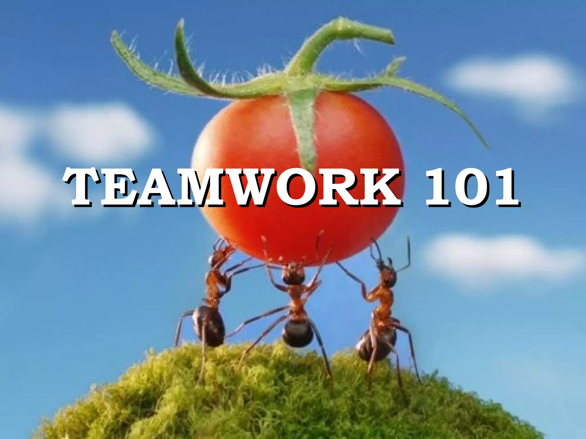 Teamwork 101 | PPT
