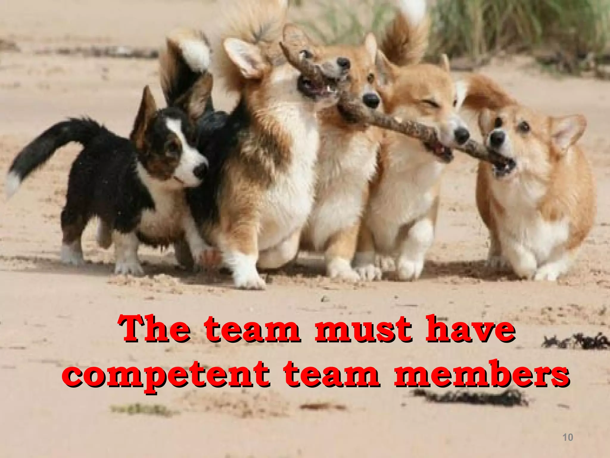 Teamwork 101 | PPT