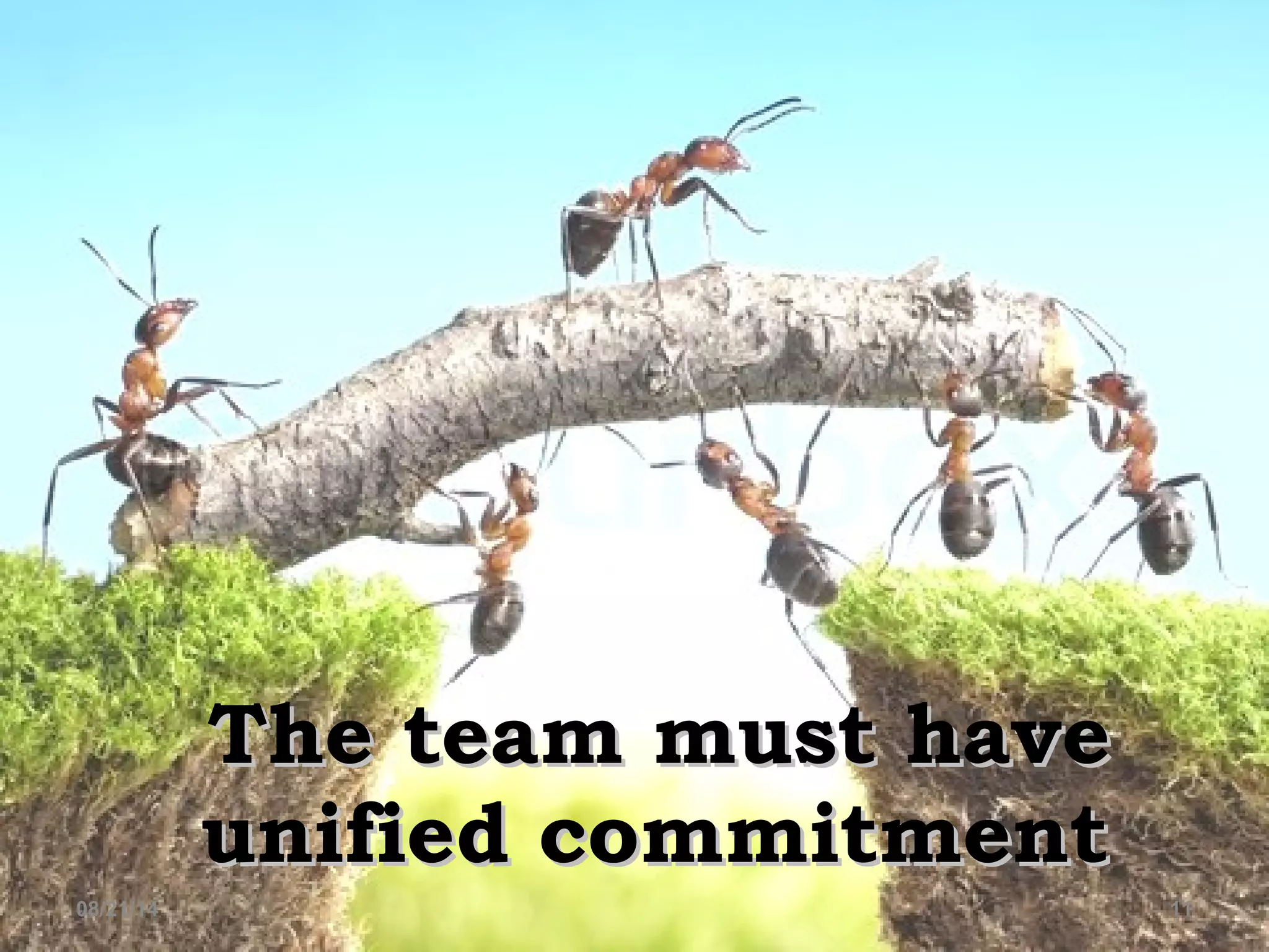 Teamwork 101 | PPT