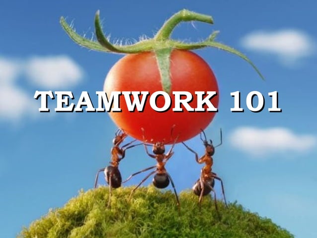 Teamwork 101 | PPT