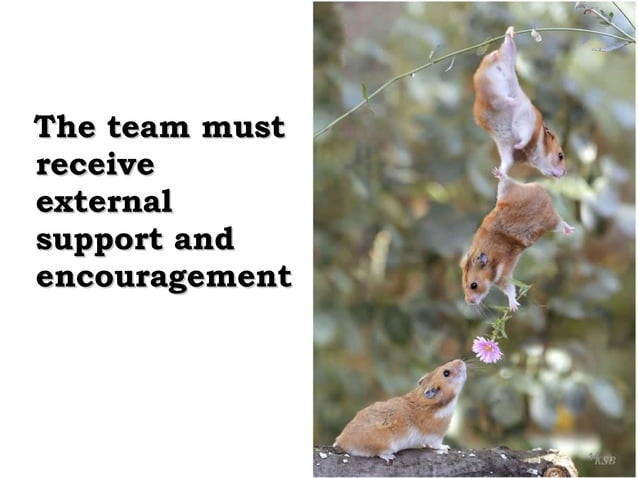 Teamwork 101 | PPT