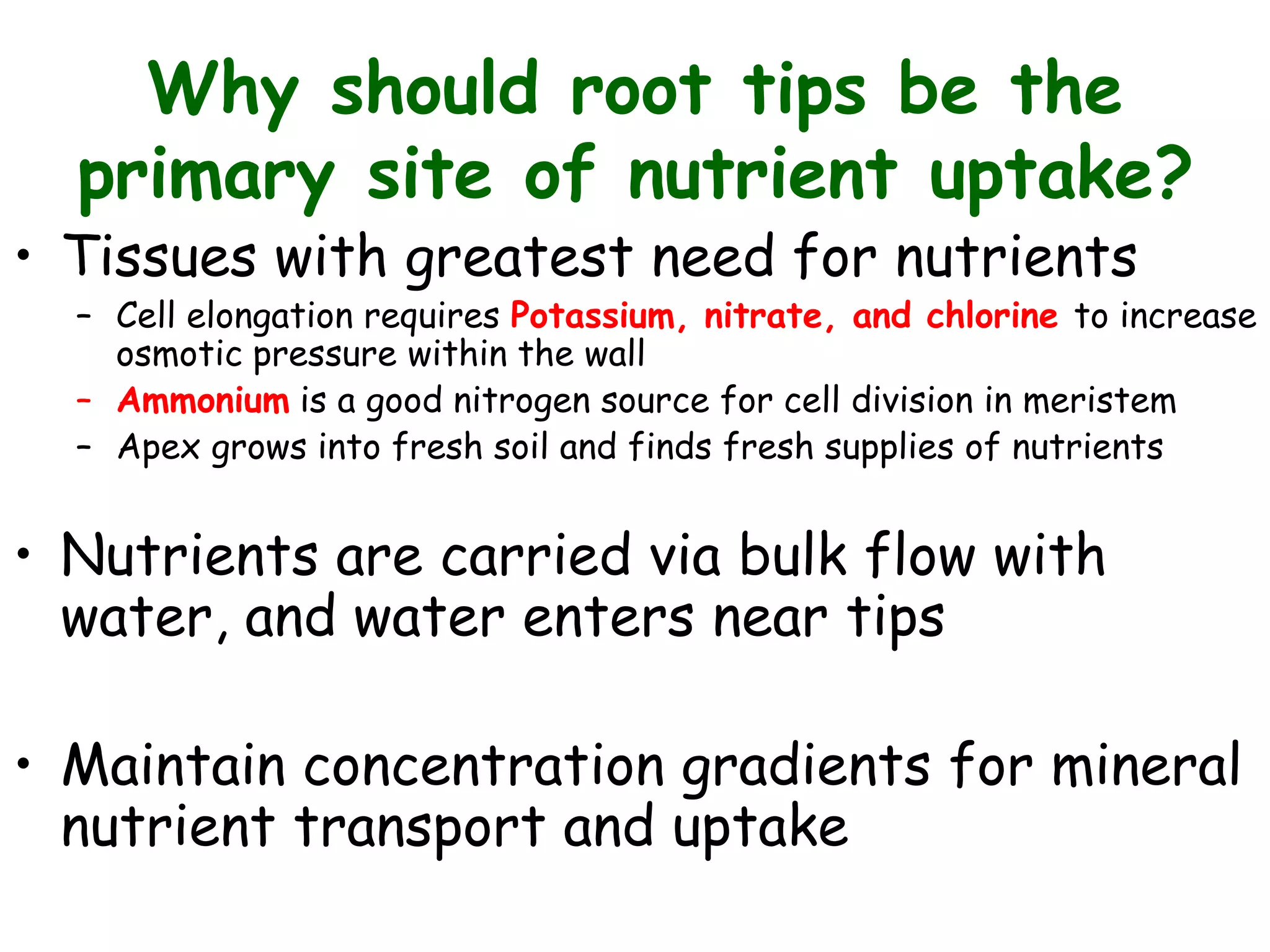 Talk 4-Mineral Nutrition.ppt