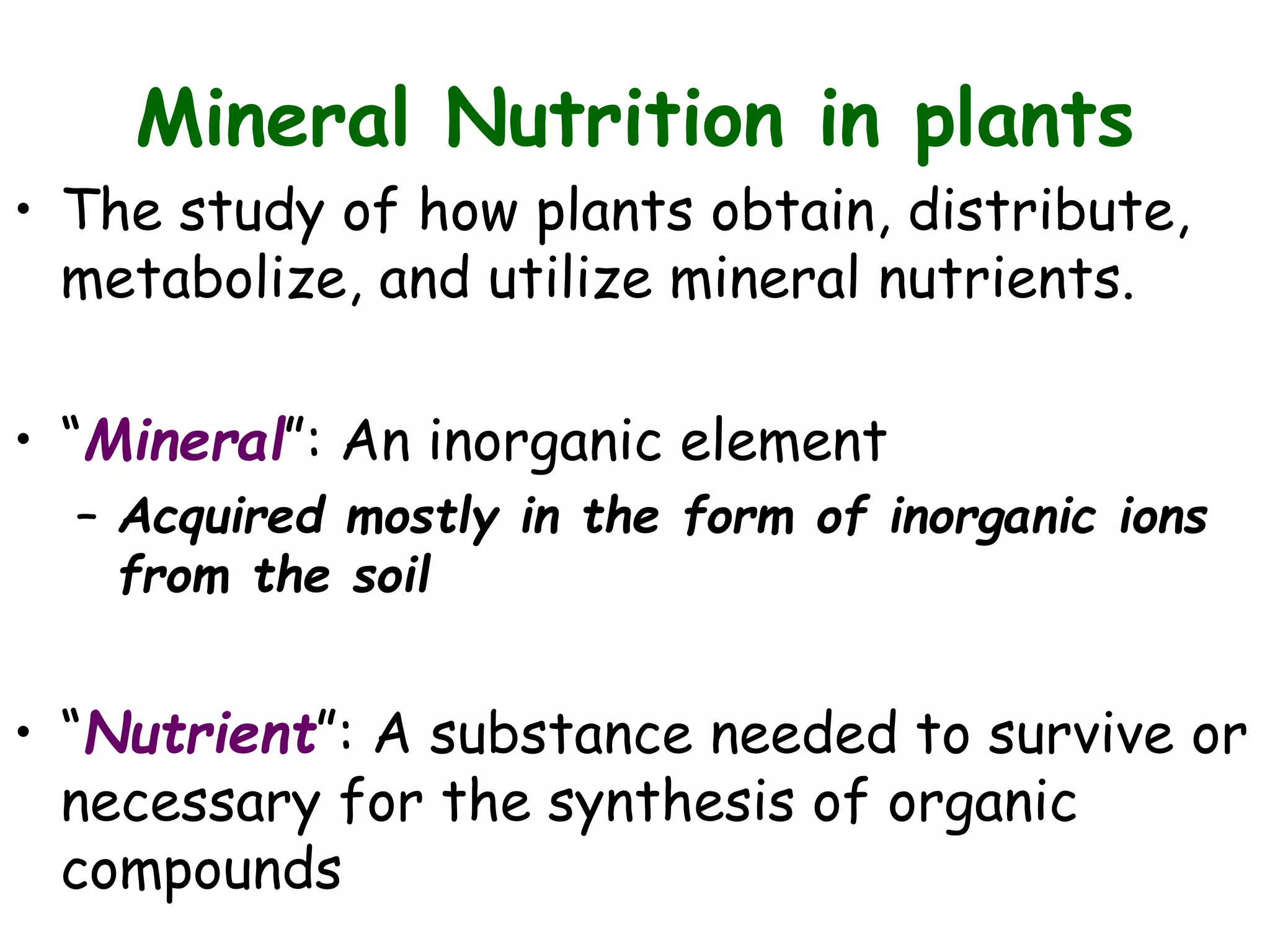 Talk 4-Mineral Nutrition.ppt