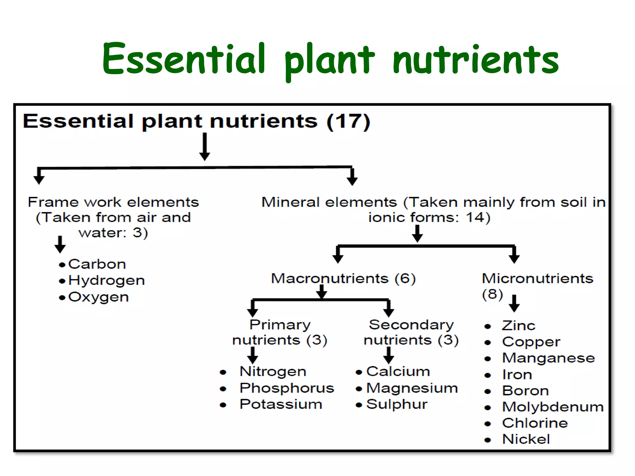Talk 4-Mineral Nutrition.ppt