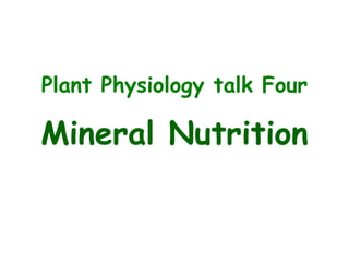 Talk 4-Mineral Nutrition.ppt