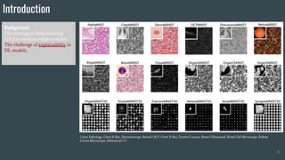 Assessing Explainability in Deep Learning for Medical Image Analysis | PDF