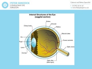 Talk by peter simcock on elderly eyes to national geriatrics society | PPT