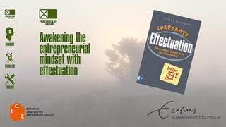 Thomas Blekman - Talk corporate effectuation | PPT