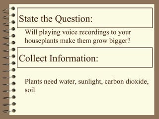Talking to Plants Virtual lab | PPT