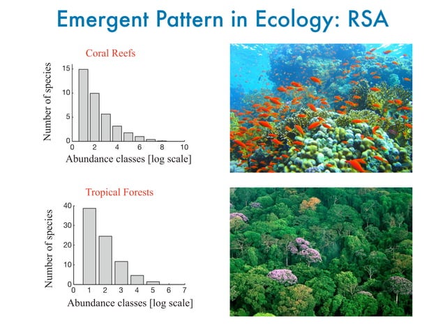Statistical Physics of Ecological Networks: from patterns to principles ...