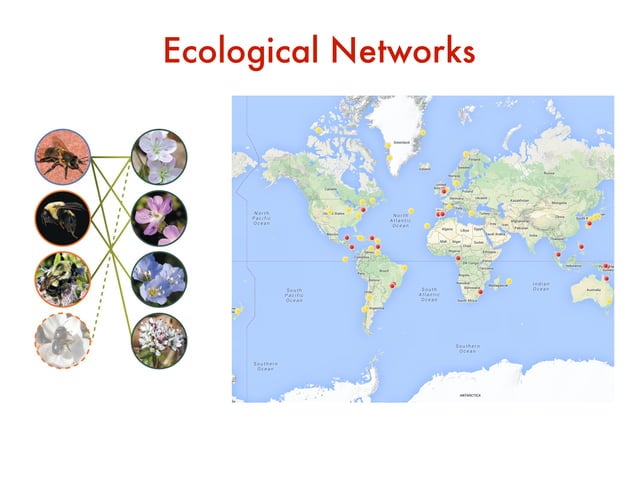 Statistical Physics of Ecological Networks: from patterns to principles | PPT