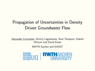 Propagation of Uncertainties in Density Driven Groundwater Flow | PPT