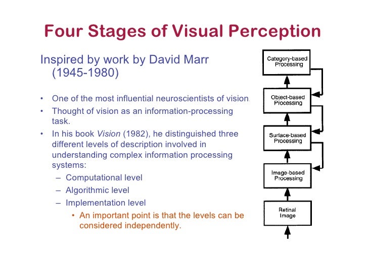 Promising avenues for interdisciplinary research in vision