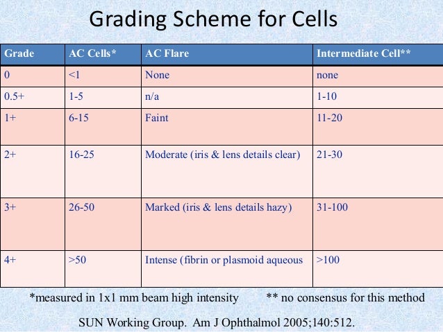 Uvetis, anterior uveitis, posterior uveitis