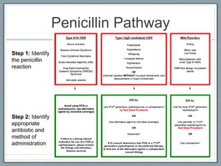 WUSTL Penicillin Allergy QI Pathway | PPTX