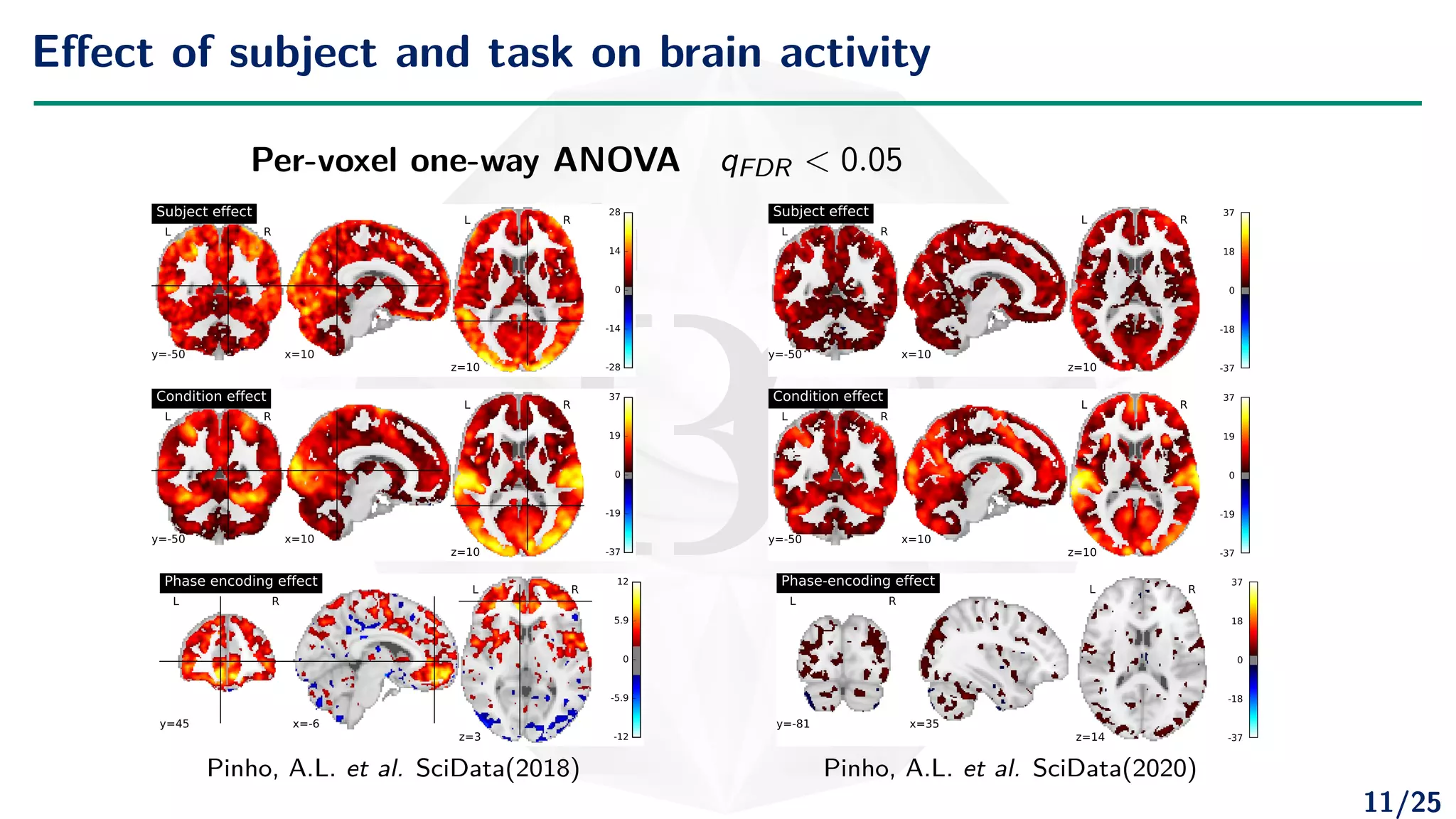 Individual functional atlasing of the human brain with multitask fMRI data: leveraging the IBC ...