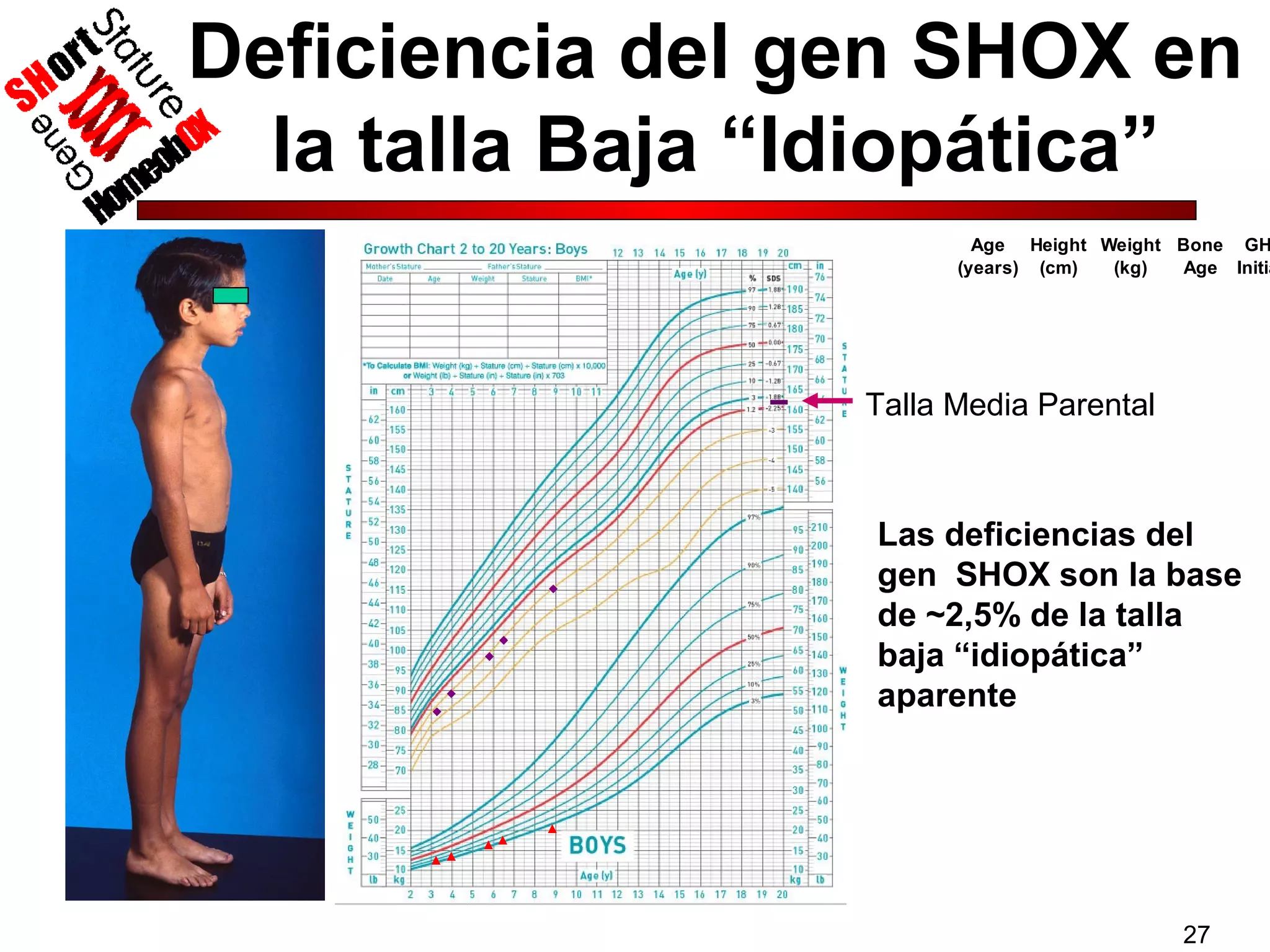 Talla baja por turner y shox | PPT