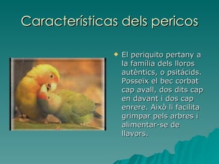 Taller 1 | PPT