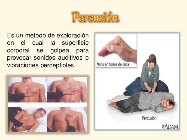 Percusión y Auscultación