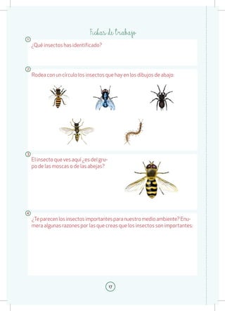 taller de insectos inicial2908563622.pdf